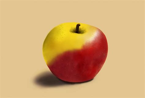 Apple In Procreate Skillshare Babe Project