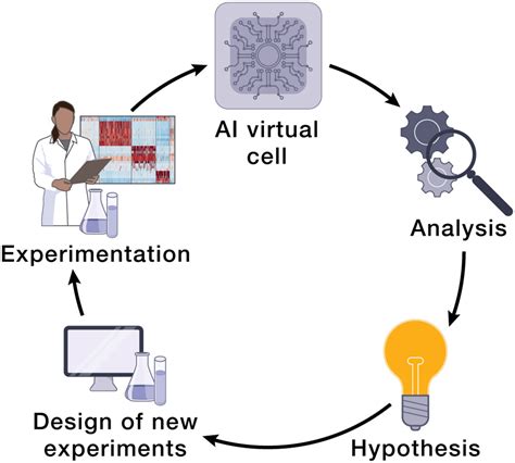 How To Build The Virtual Cell With Artificial Intelligence Priorities
