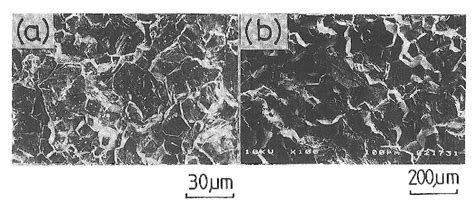 Figure 2 From Influence Of Grain Size And Temperature On Fracture