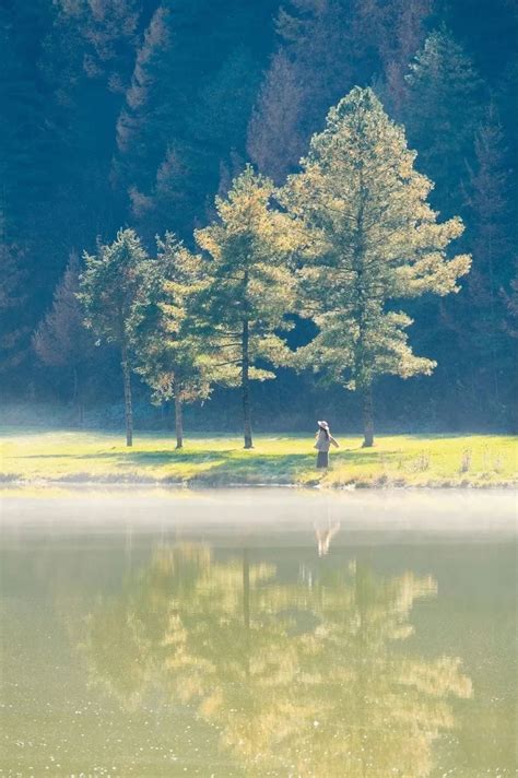 这里不是川西、不是新疆，重庆巫溪红池坝“五一”去正好！