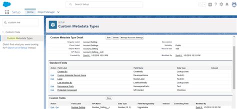salesforce custom metadata types for isv apps