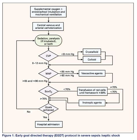 Severe Sepsis Algorithm