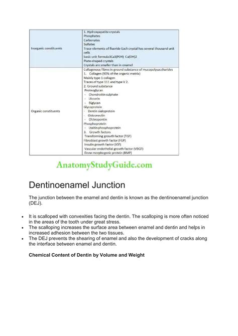 Dentin Oral Histology Notes Dentin Salient Features Of Dentin Docx