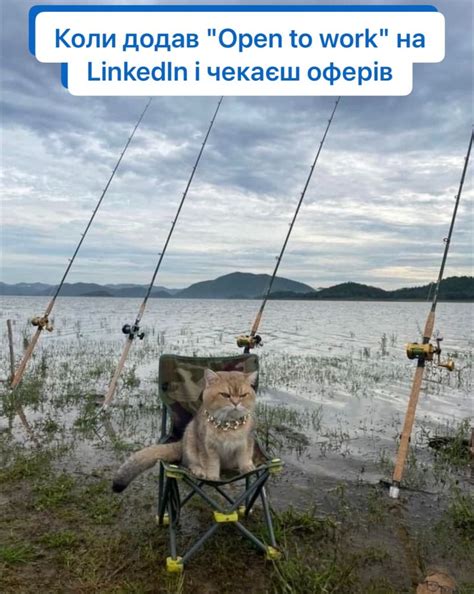 Alexander Berezovskyi On Linkedin Work Job Offer Linkedin Salary