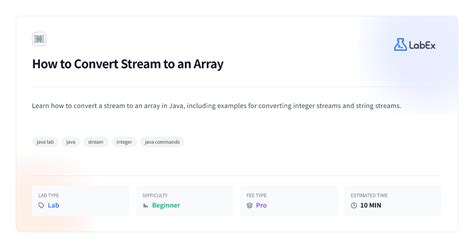 Java 에서 스트림을 배열로 변환하는 방법 예제 포함 Labex