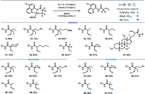 Light Promoted Iodination Bromination And Chlorination Of Aliphatic Download Scientific