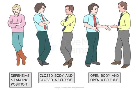 Nonverbal Communication Body Language Funny