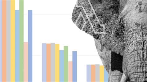 Size Is Almost All That Matters For Optimizing Aws Lambda Cold Starts