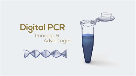 Digital Pcr Principle Techniques And Applications Stilla