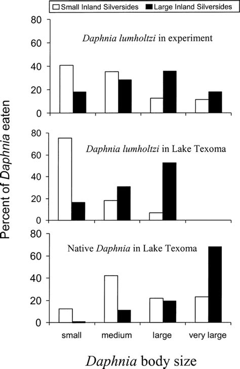 Size Selective Predation By Inland Silversides On An Exotic Cladoceran