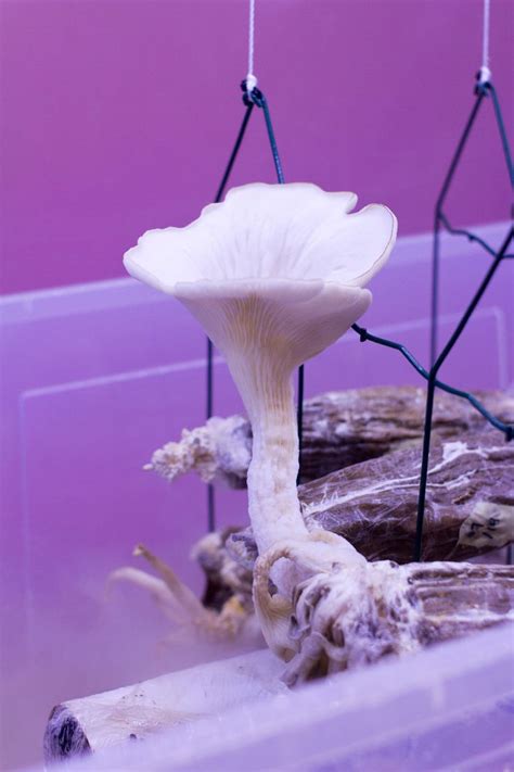 Pin On Sustainable Design Technology