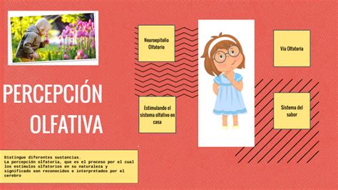 Percepcion Olfativa By Mery Quintana On Prezi