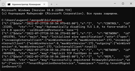 Mongodb Установка на Windows