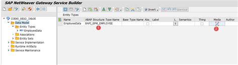 set entity type as media sap free tutorials