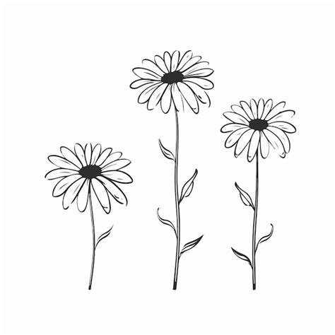 Premium Vector Stylish Daisy Vector Artwork Suitable For Various Designs