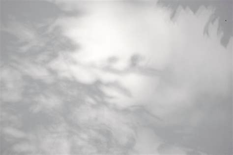 배경x9스톤 벽지를 위한 텍스트를 위한 공간이 있는 거친 표면과 잎 그림자 흰색 시멘트 벽의 매끄러운 질감 프리미엄 사진