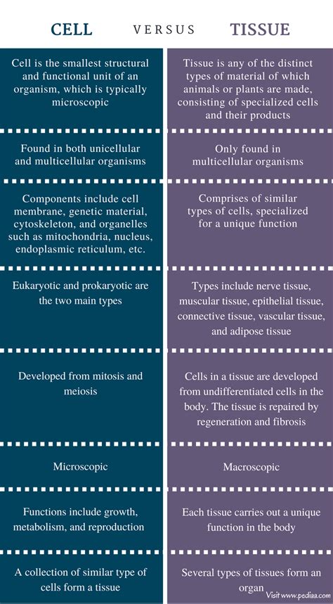 Explain The Differences Between Unicellular And Multicellular Organisms
