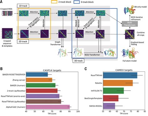 基于人工智能 Ai 的蛋白结构预测工具合集 知乎