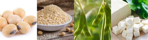 Soybean Analysis Kpm Analytics