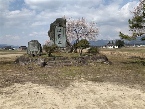 桜満開 石打日報