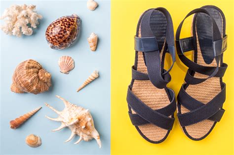 여름 휴가의 개념입니다 노란색 바탕에 여자 여름 샌들입니다 파란색 배경에 바다 조개 0명에 대한 스톡 사진 및 기타 이미지 0명 나무 디자인 Istock