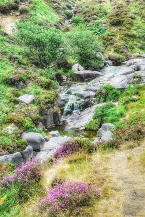 Mark Dobbin Markdobbin Twitter