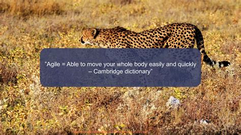 Agile Software Development In A Nutshell Ppt