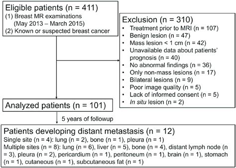 Flowchart Of Patient Selection And Exclusion Download Scientific Diagram