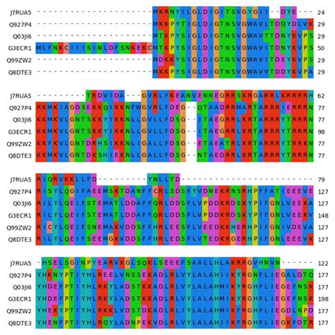 Multiple Sequence Alignment Of Cas9 Homologs Biotite 0 41 0 Documentation