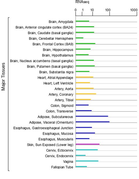 Cidea Gene Genecards Cidea Protein Cidea Antibody