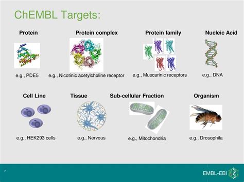 Ppt Overview Of Chembl Database Powerpoint Presentation Free Download Id5271906