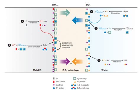 Scheme Of Corrosion Process In Zr Alloys 6 Download Scientific Diagram