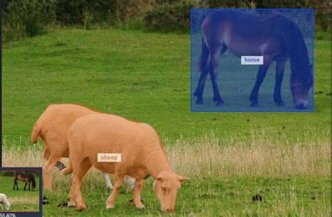 Pixlab Annotate Online Batch Image Annotation Labeling And