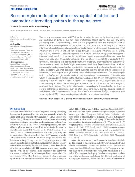 Pdf Serotonergic Modulation Of Post Synaptic Inhibition And Locomotor Alternating Pattern In