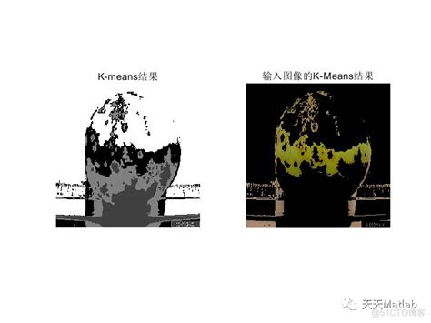 【水果质量检测】基于机器视觉实现苹果疾病识别分类附matlab代码 matlab仿真博客的技术博客 51cto博客