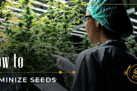 How To Make Joint Filter The Sanctuary How To Make Joint Filter The Sanctuary