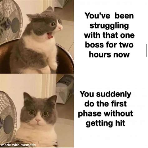 you ve been struggling with that one boss for two hours now you suddenly do the first phase