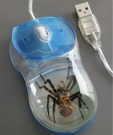 Real Bug Common Spider Embedded In Clear Plastic Usb Computer Mouse Ebay
