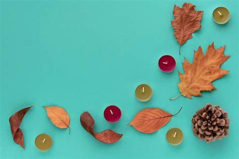 숲 아늑한 평면 평신도 조성 범프 나무 껍질 양초에서 프레임 민트 배경에 나뭇잎 가을 숲 개념 공간 상단 뷰를 복사합니다 10월에 대한 스톡 사진 및 기타 이미지 Istock