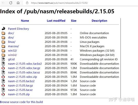 Windows Nasm