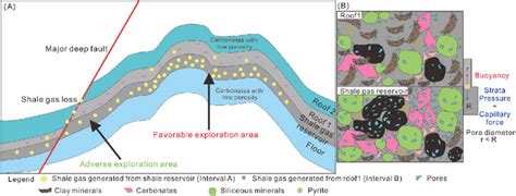 A Pattern Of Shale Gas Accumulation And B Shale Gas Storage Models