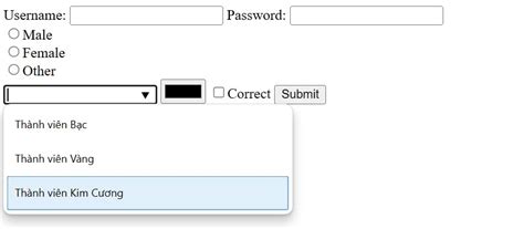 Tổng Hợp 12 Bài Tập Html And Css Cơ Bản Cho Người Mới Bắt đầu Itviec Blog