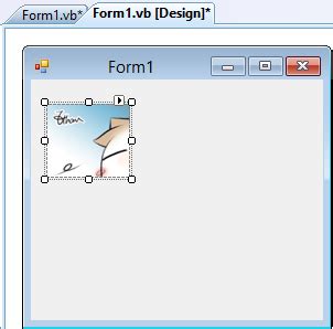 VB NET PictureBox Control