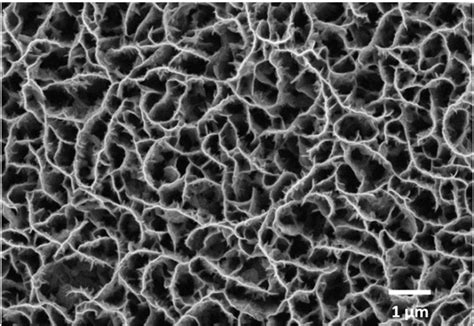 Figure 2 From High Sensitivity Ammonia Sensors With Carbon Nanowall Active Material Via Laser
