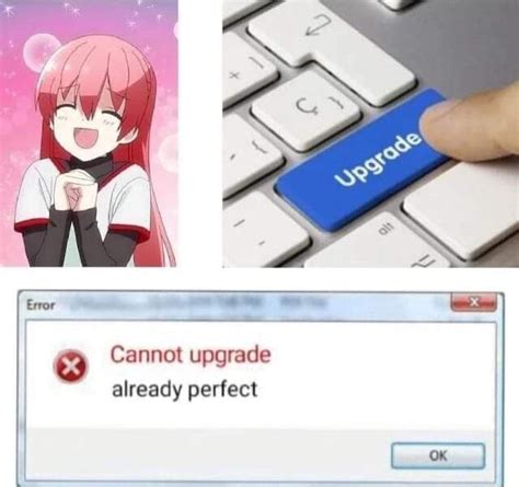 Win Cannot Upgrade Already Perfect Ifunny