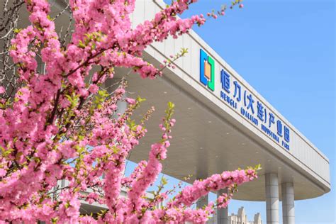 恒力（大连长兴岛）产业园6月社招岗位！管理工作员工