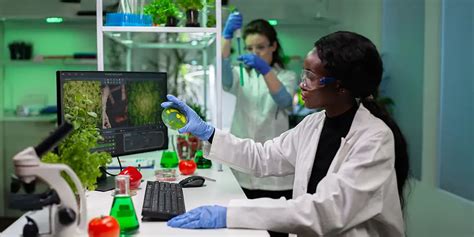 Os 10 Tipos De Biotecnologia E Suas Aplicações