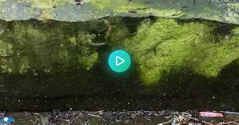 That Satisfying Feeling Album On Imgur