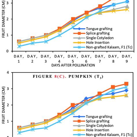 A D Effect Of Grafting On Cucumber Fruit Development Fruit