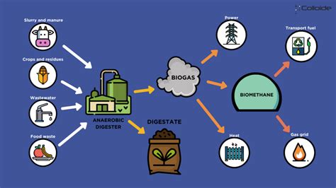 Anaerobic Digester Diagram